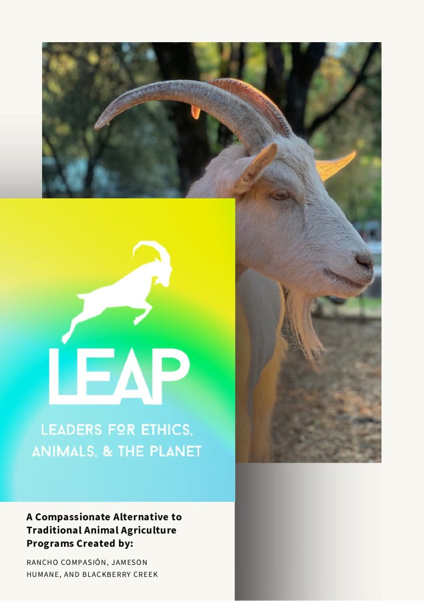LEAP – Veganville